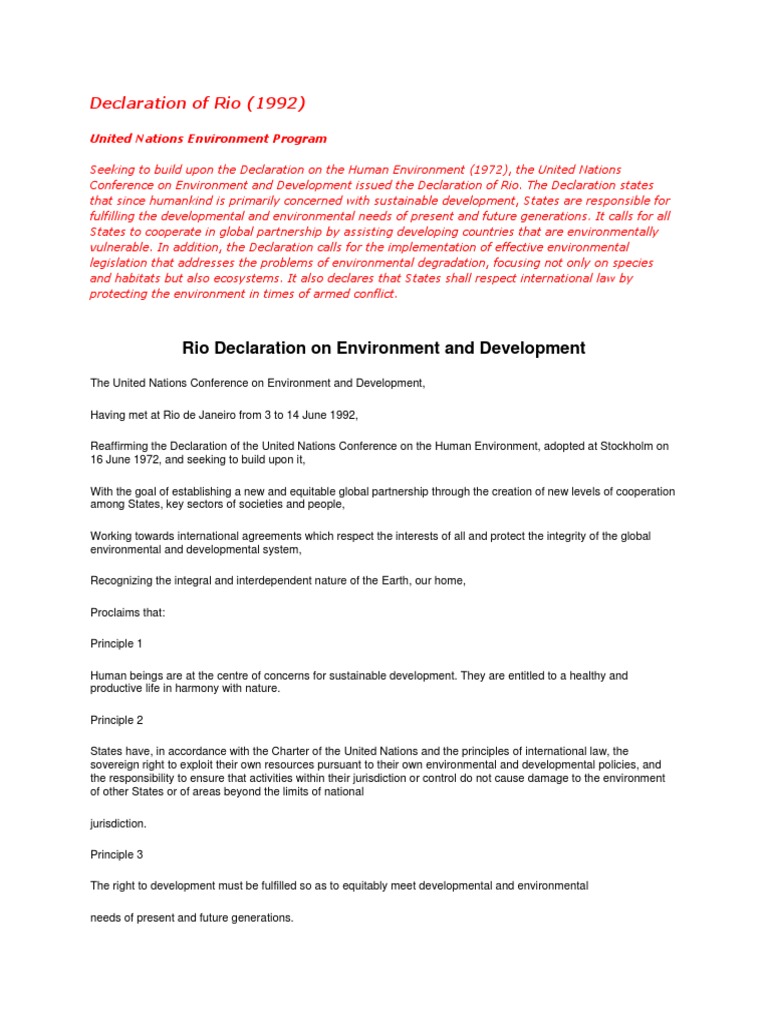1992 Declaration of Rio | Sustainability | Environmental Law