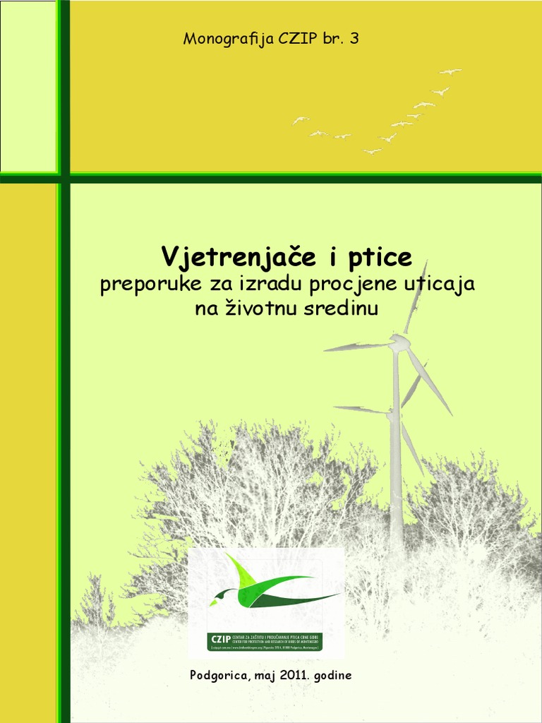 Vjetrenjace I Ptice | PDF