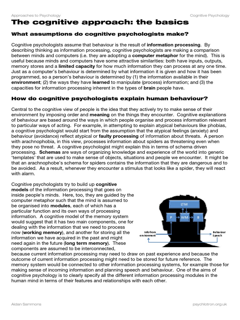 Basics of The Cognitive Approach | PDF | Cognitive Psychology ...