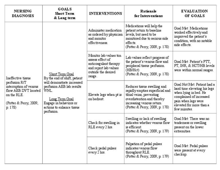 Care Plan Template | PDF