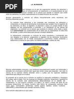 Sopa de Letras Sistema Urinario | PDF