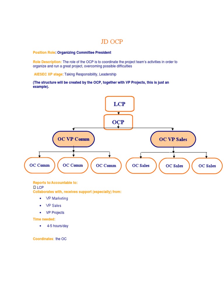JD Ocp | PDF | Psychological Resilience | Leadership