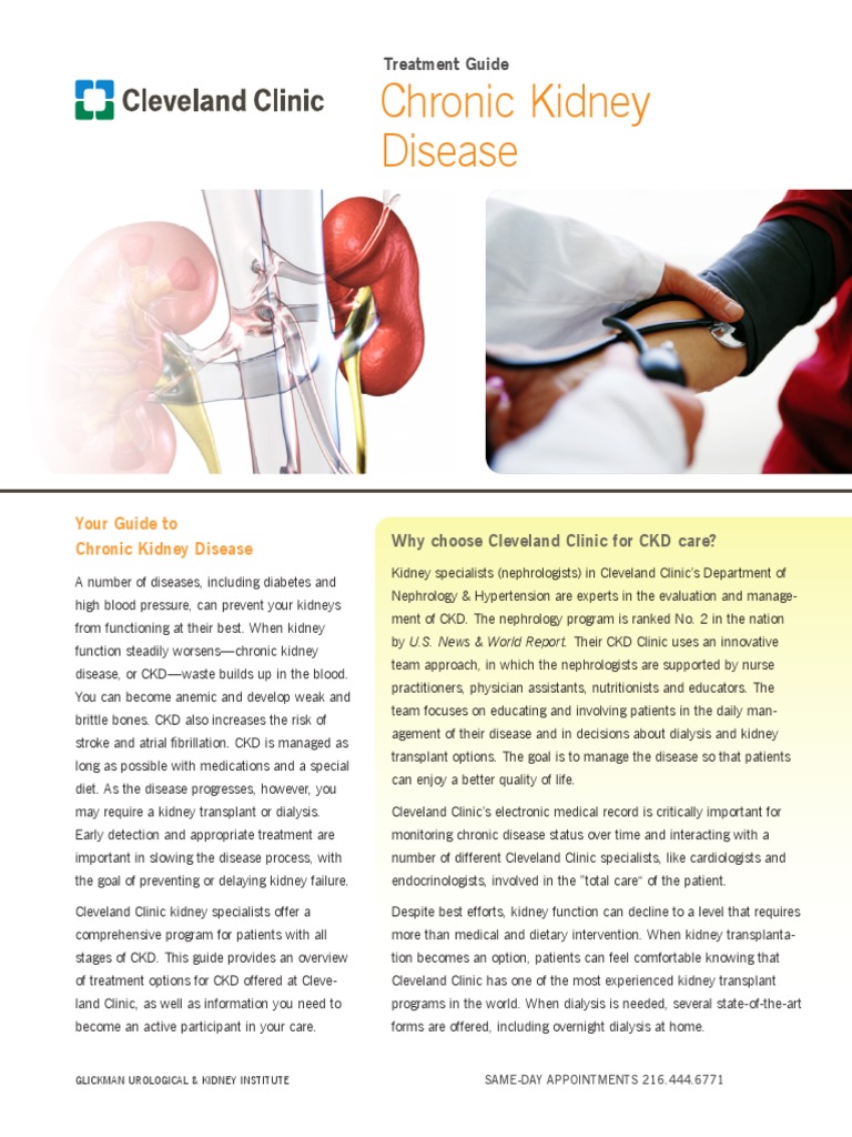 Chronic Kidney Disease Treatment Guide | PDF | Chronic Kidney Disease ...
