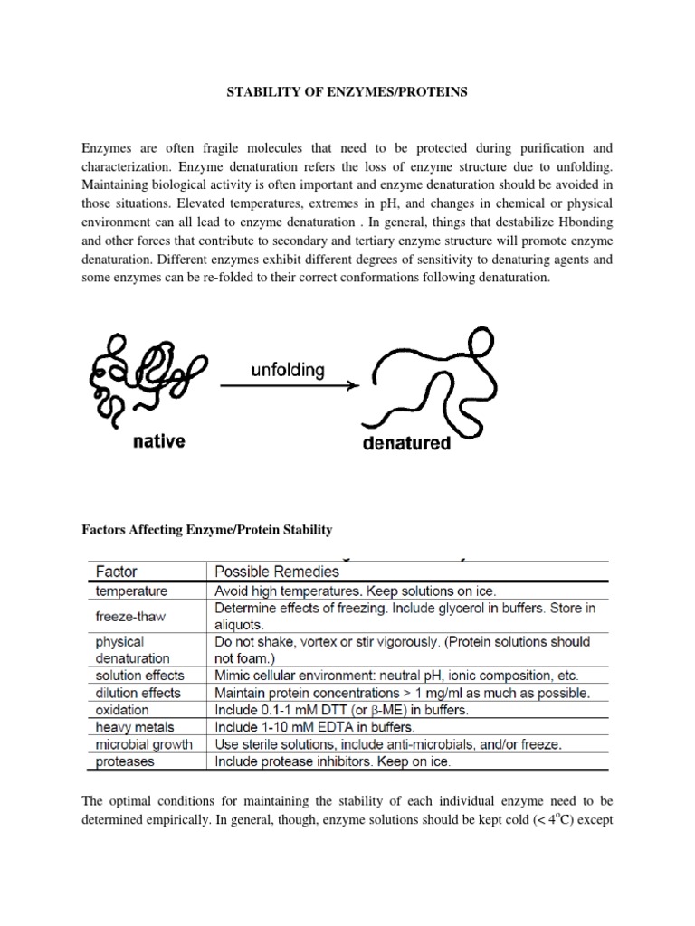 Stability of Enzymes | PDF | Protein Structure | Chemical Bond