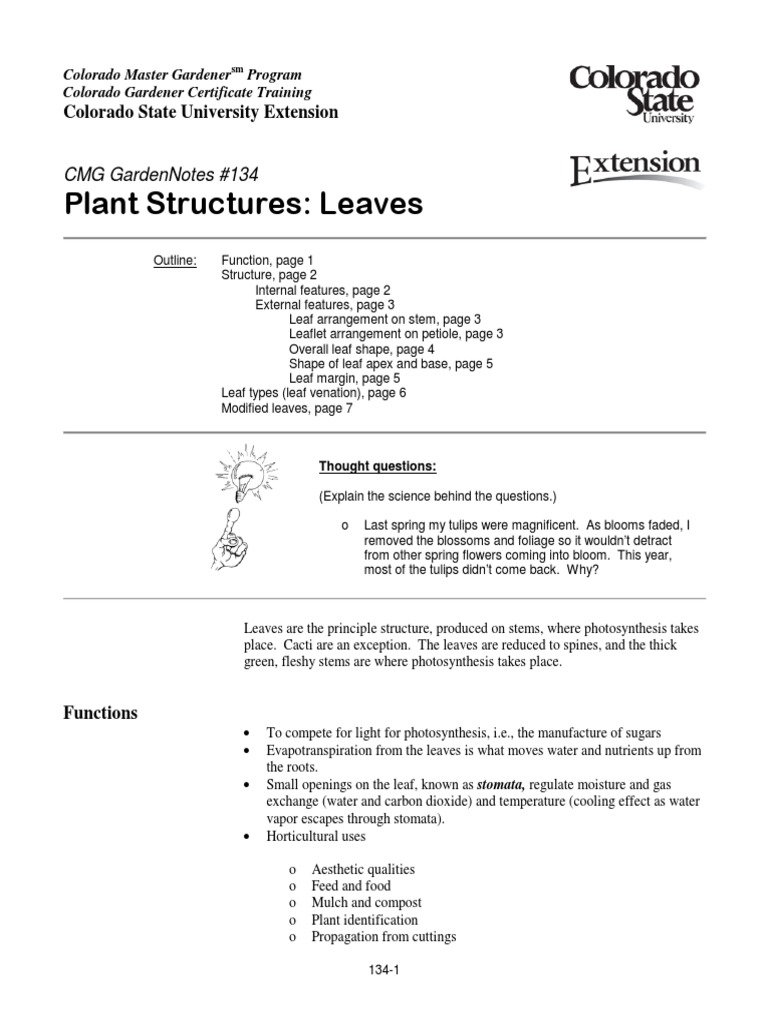 Plant Structures: Leaves: CMG Gardennotes #134 | PDF | Home & Garden ...