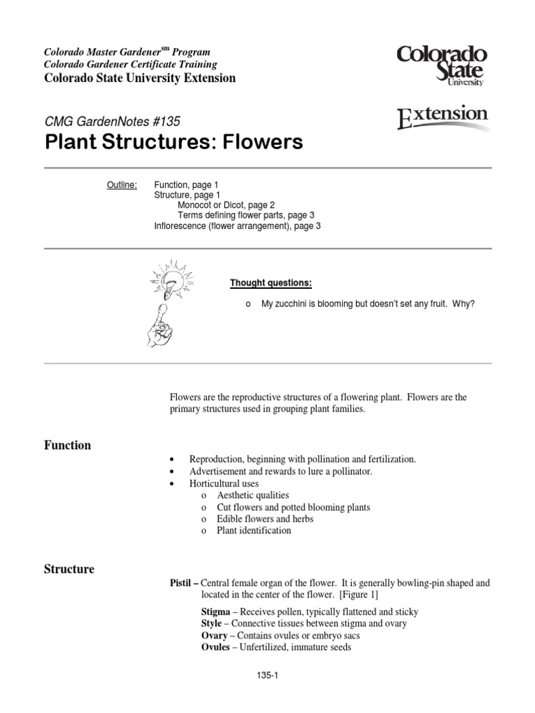 Understanding Flower Structure and Types | PDF | Flowers | Petal
