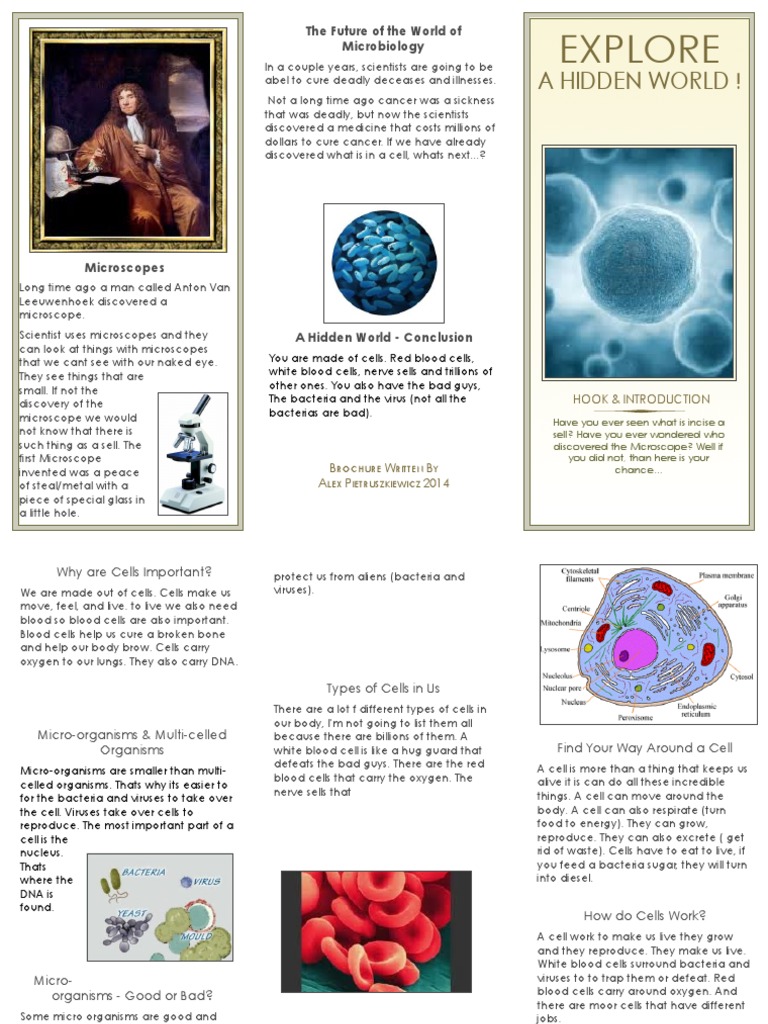 Cell Brochure by Alex | PDF | Microorganism | Cell (Biology)