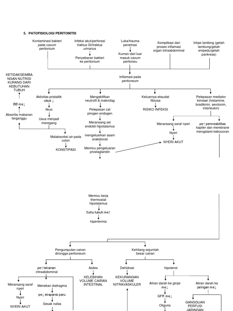 Patofisiologi Peritonitis | PDF