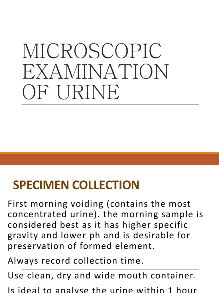 A Comprehensive Guide to the Microscopic Examination of Urine Specimens ...