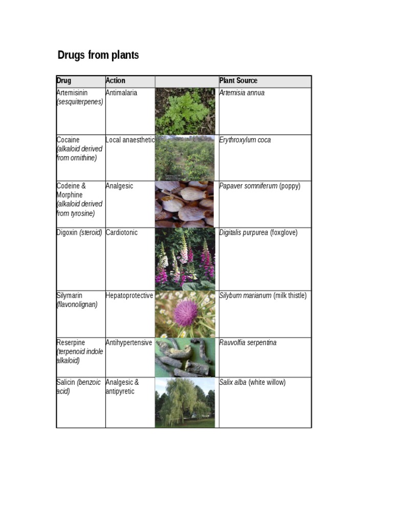 Drugs From Plants: Drug Action Plant Source | PDF