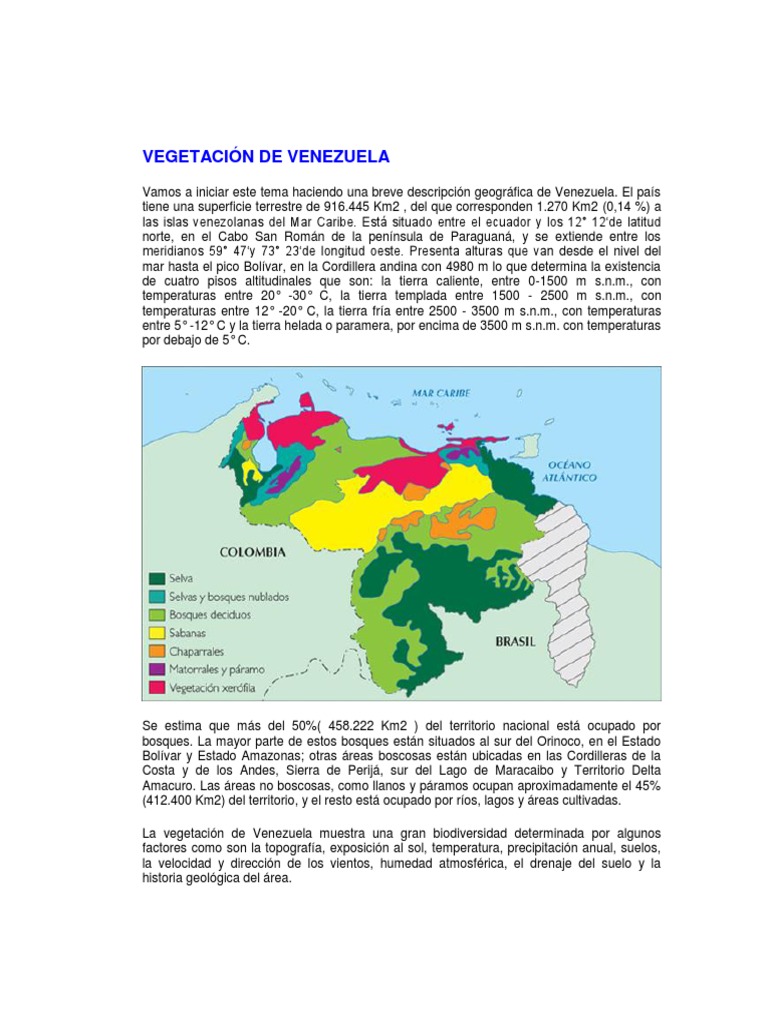 Tipos y características de vegetación en Venezuela | PDF