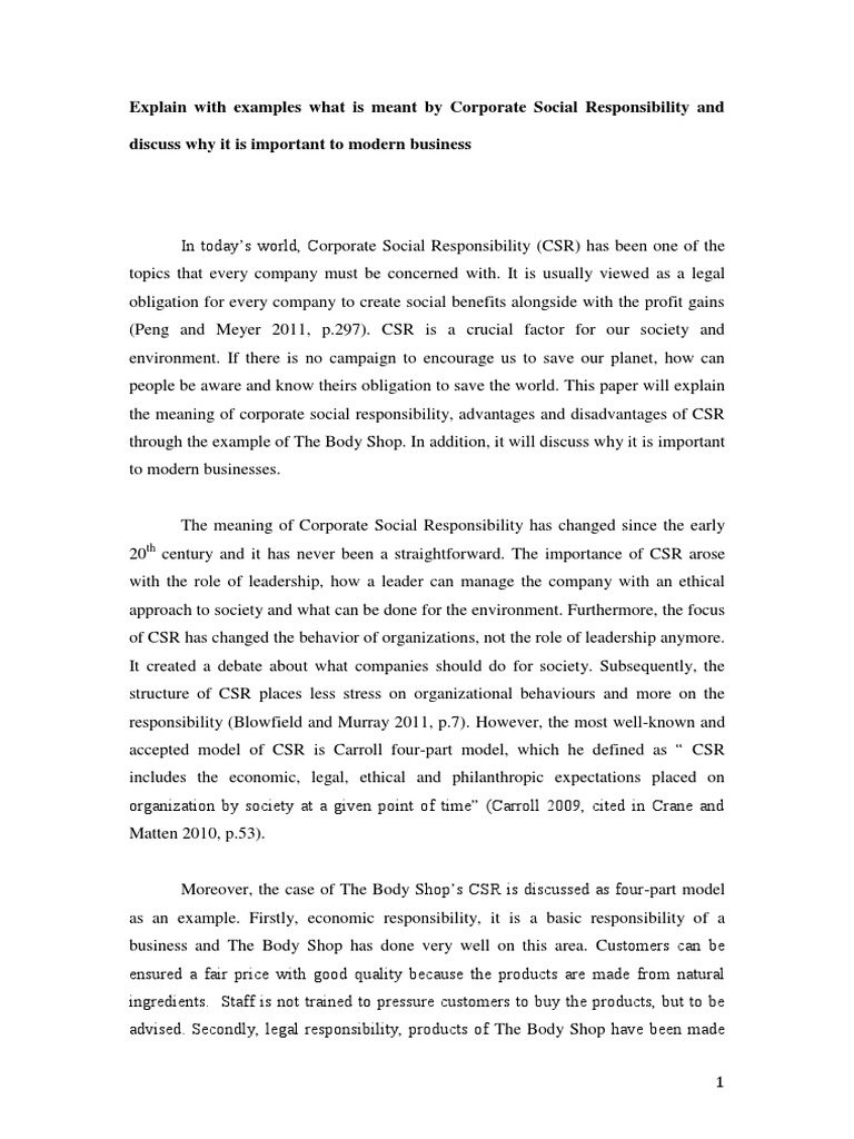 Corporate Social Responsibility: A Case Study of The Body Shop | PDF ...