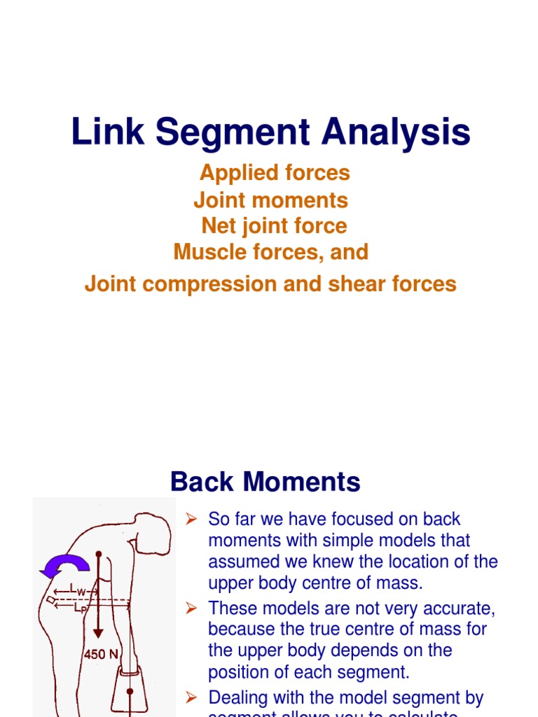 Link Segment Analysis | PDF | Physical Strength | Elbow