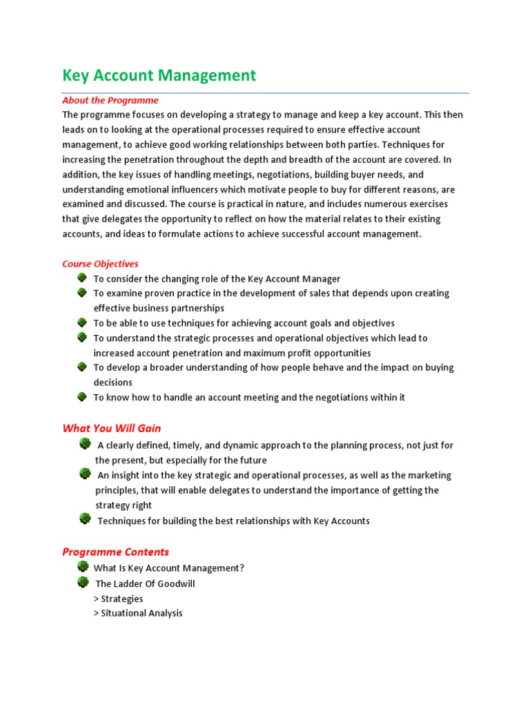 Key Account Management | PDF | Strategic Management | Sales