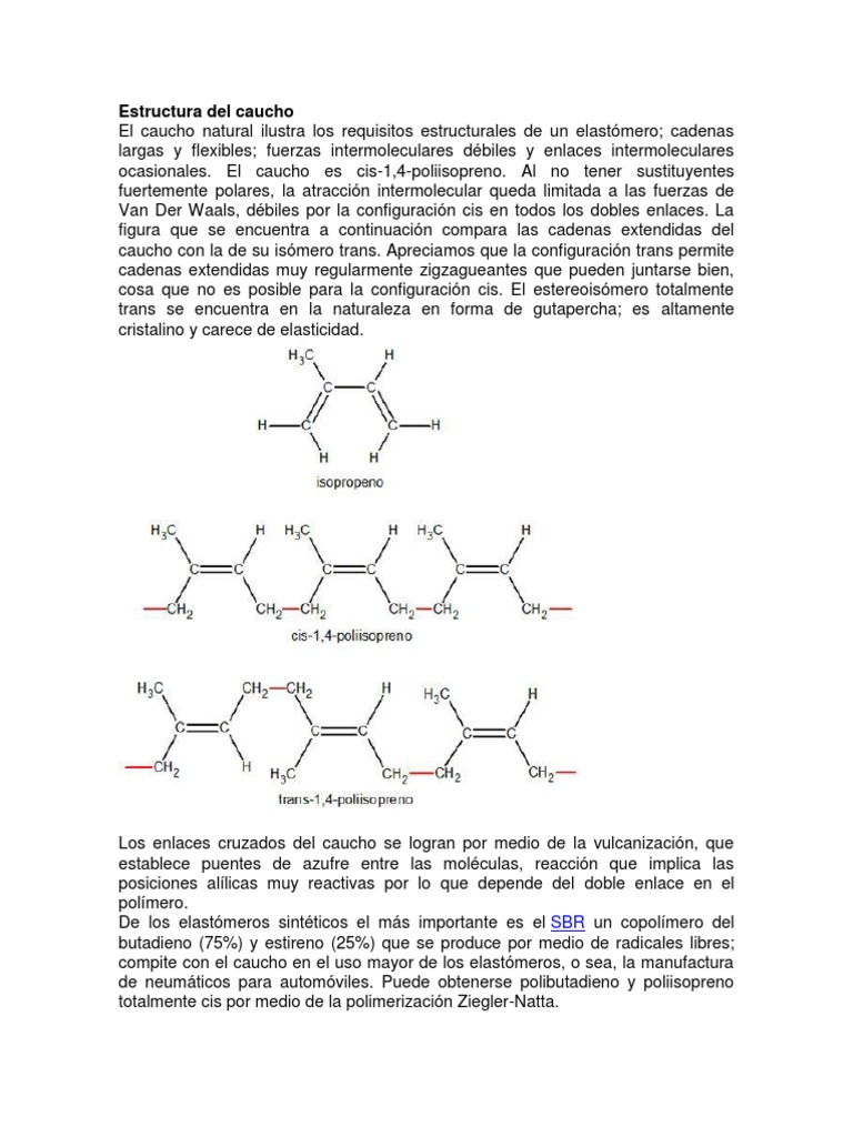 Estructura Del Caucho | Sólido amorfo | Polímeros