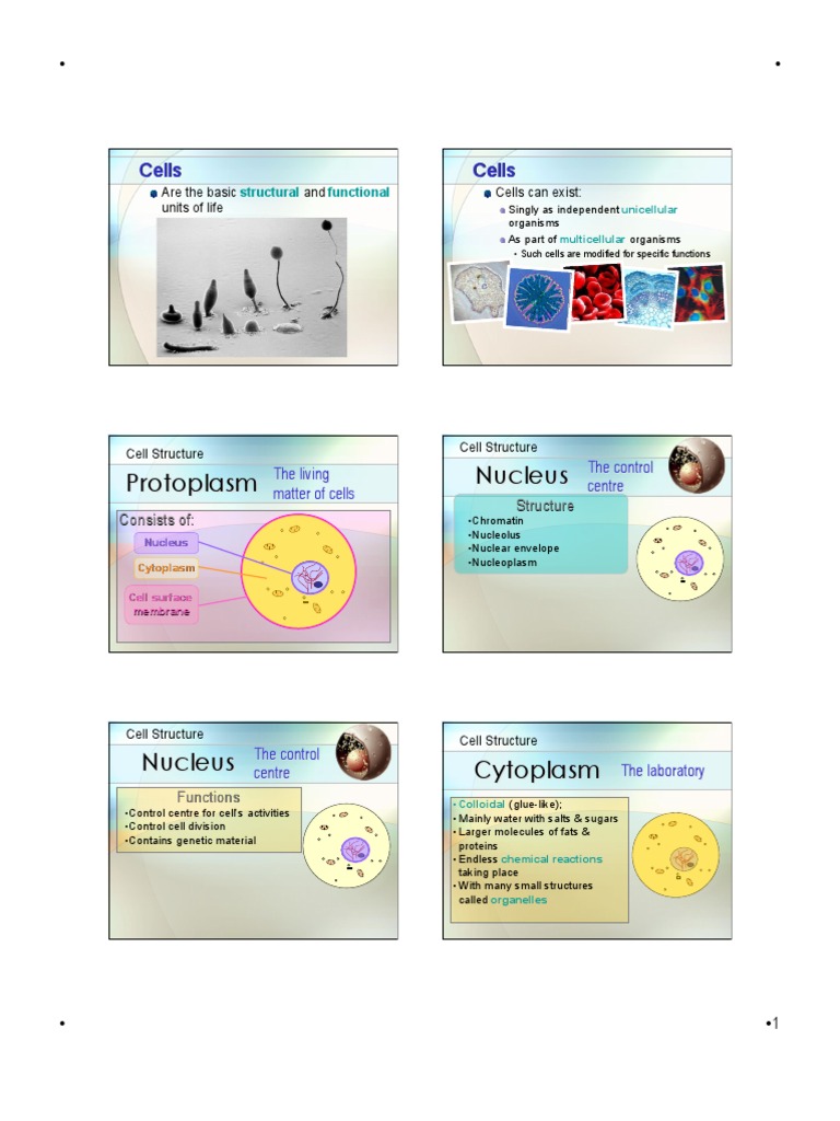 Cells Powerpoint | Download Free PDF | Cell (Biology) | Cell Membrane