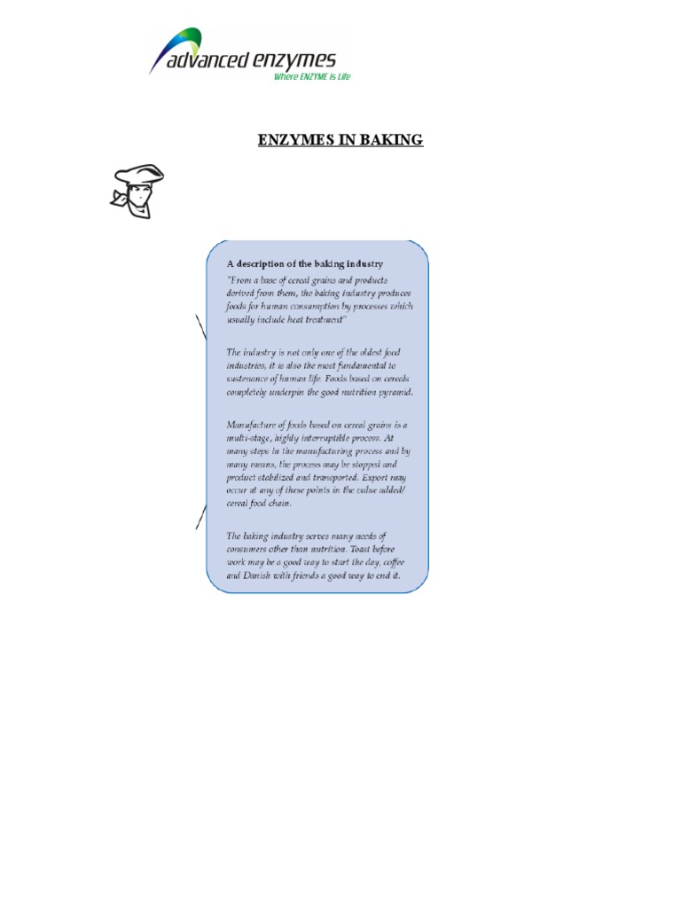 Enzymes in Bakery | PDF | Breads | Dough