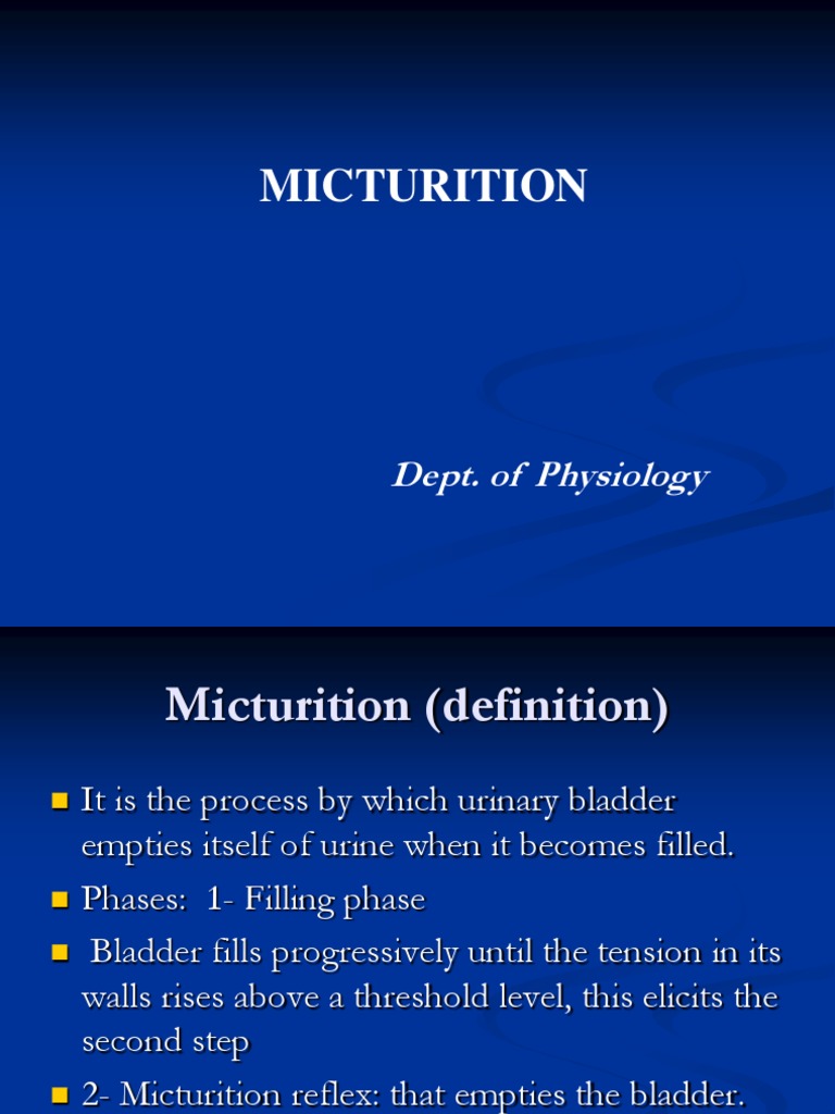 Physiology of Micturition | PDF | Urination | Urinary Bladder