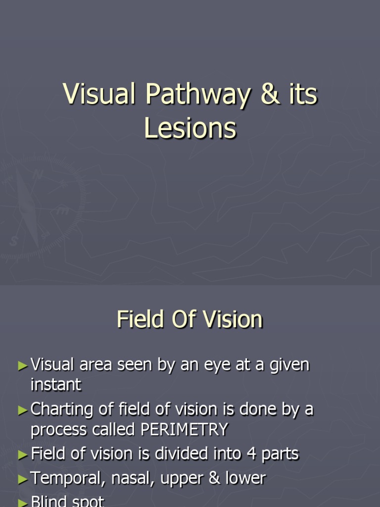 Visual Pathway and Lesions Explained | PDF | Visual System | Occipital Lobe