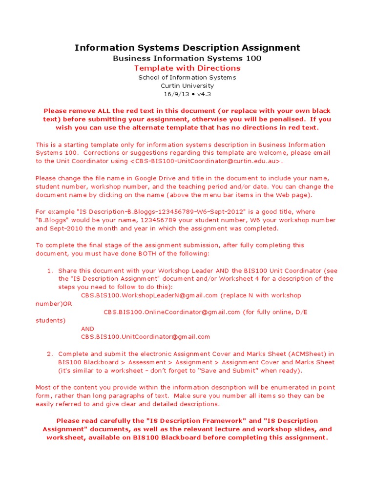 B Is 100 Information System Description Template | PDF | Input/Output ...