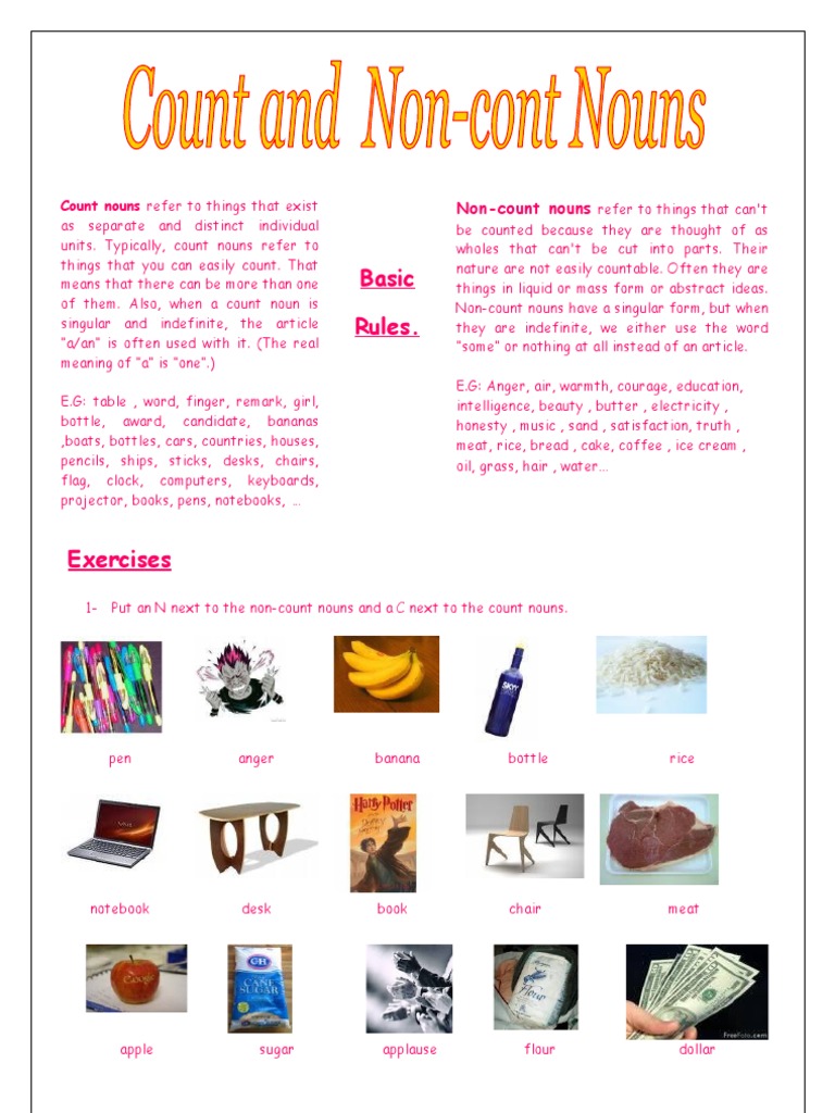 Count and Noncount Nouns | PDF