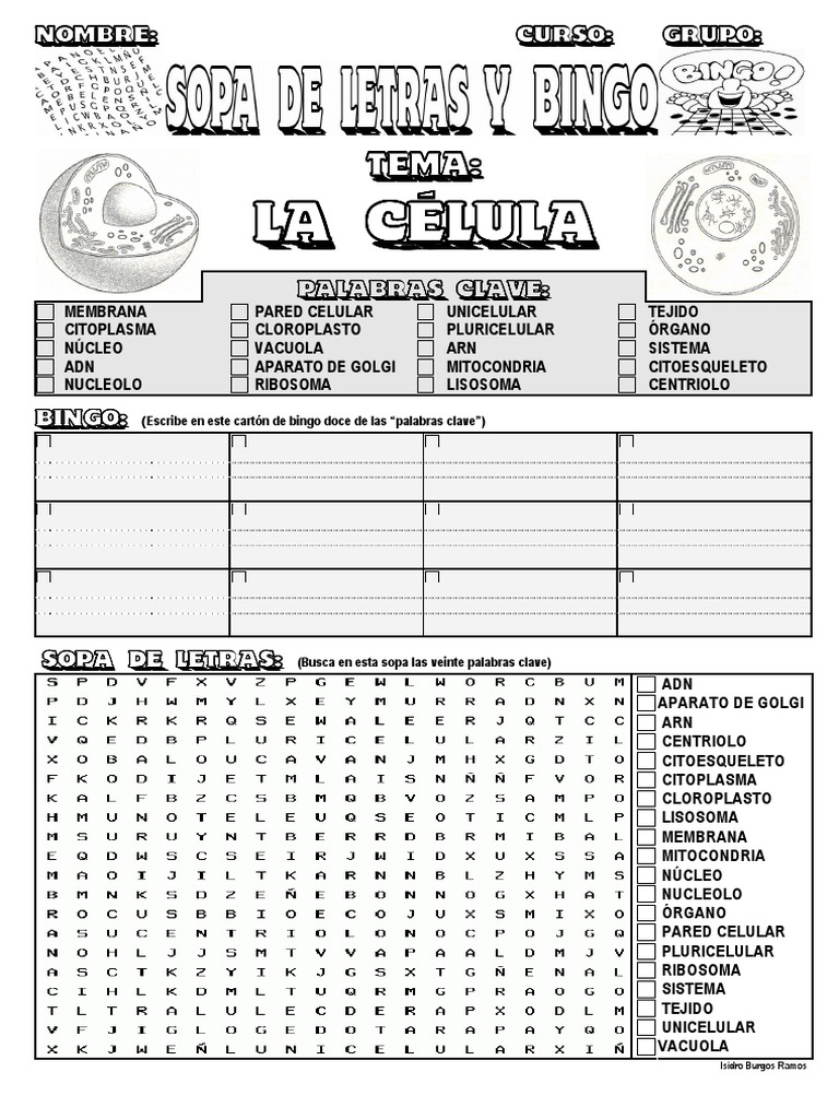 Sopa de Letras 8° N° 1 Célula | PDF