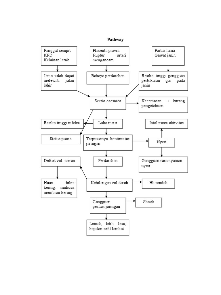 Pathway Panggul sempit KPD Kelainan letak Placenta pravia Ruptur urteri mengancam Partus lama ...
