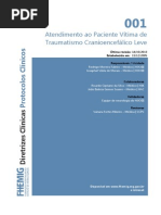 Protocolo de Atendimento Ao Paciente Vitima de Traumatismo ...