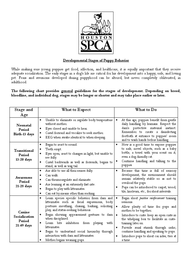 Developmental Stages of Puppy Behavior | Dogs | Socialization