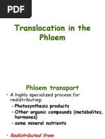 Lesson 4 - Cell Modifications | PDF | Cell Adhesion | Cell (Biology)