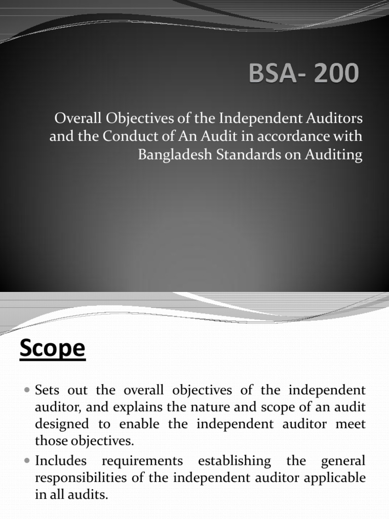 Bsa 200 | Download Free PDF | Financial Audit | Audit