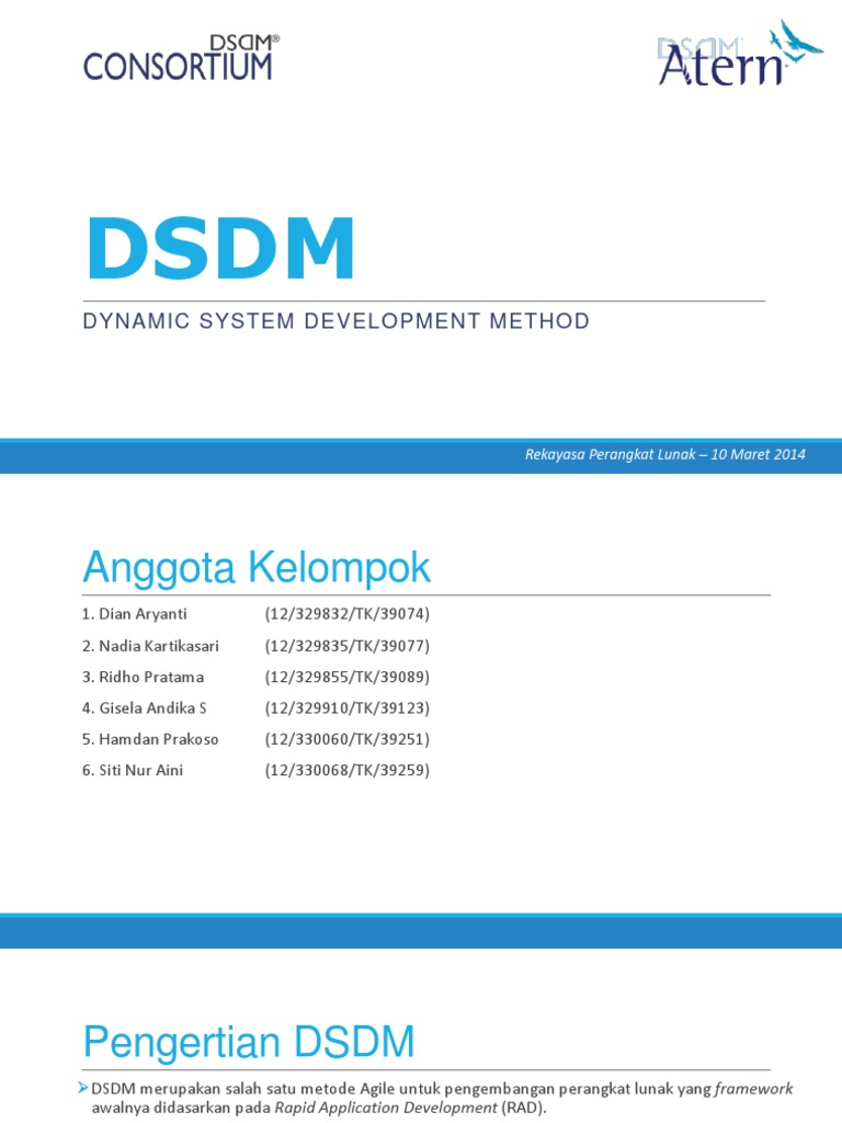 DSDM | PDF