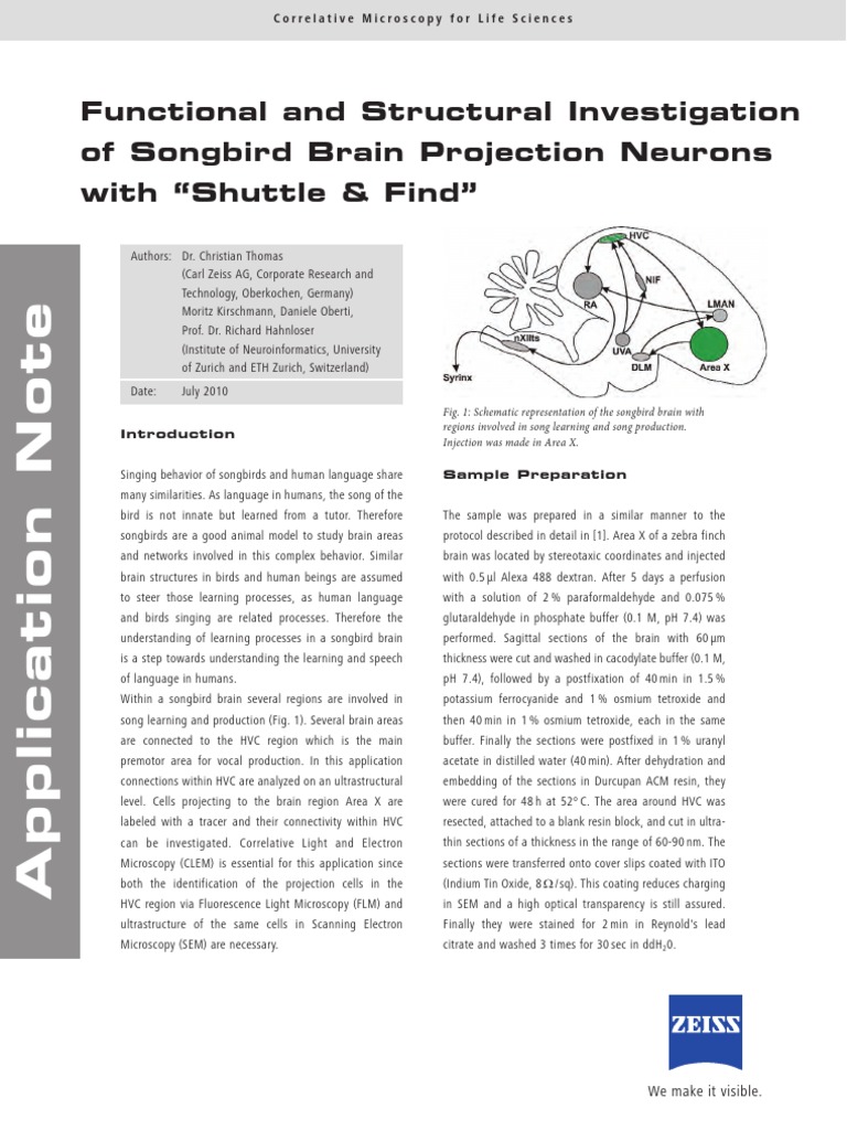 Functional and Structural Investigation of Songbird Brain Projection ...