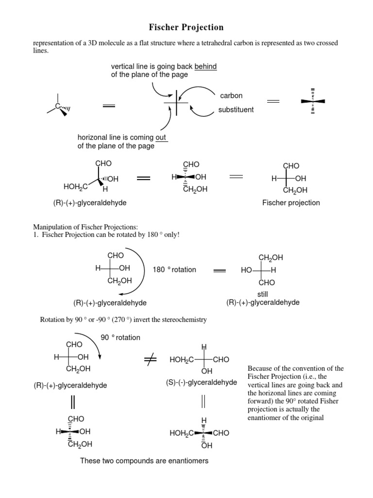 Fischer Projection Notes | PDF