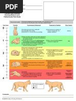 Veterinary ASA Classification Guide | PDF | Heart | Shock (Circulatory)