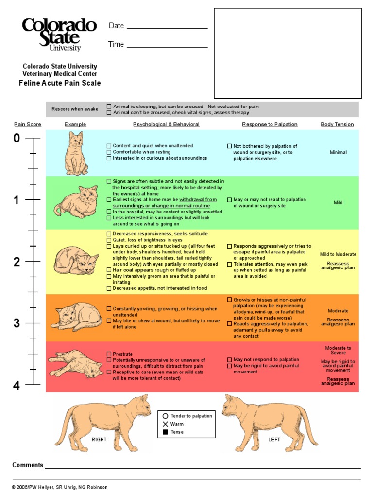 Feline Acute Pain Scale Guide | PDF | Wellness