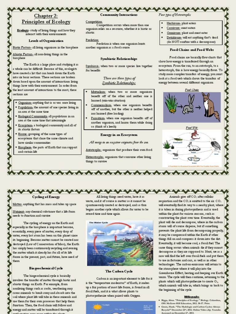 Principles of Ecology | PDF | Ecology | Carbon Dioxide