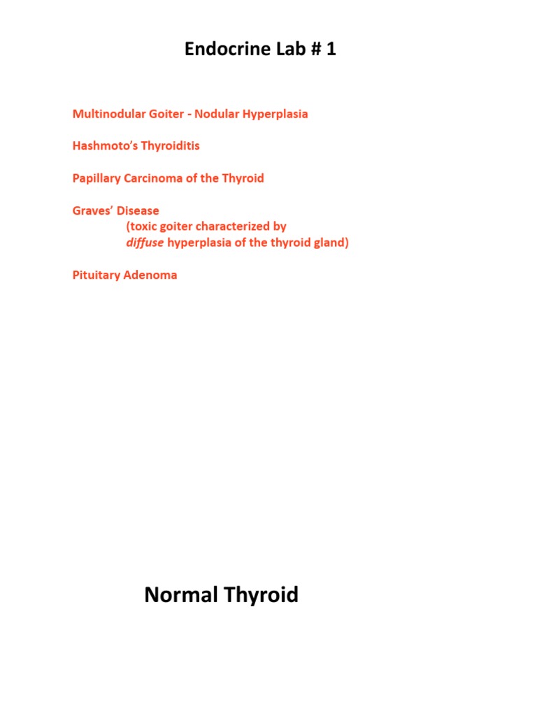 Endocrine Lab+I (1 | PDF