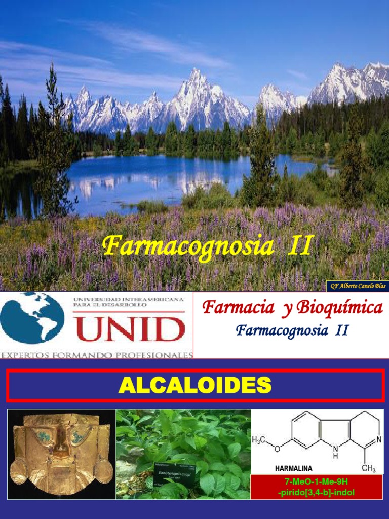 Alcaloides. Introducción. Clasificación. | PDF | Alcaloide | Productos ...
