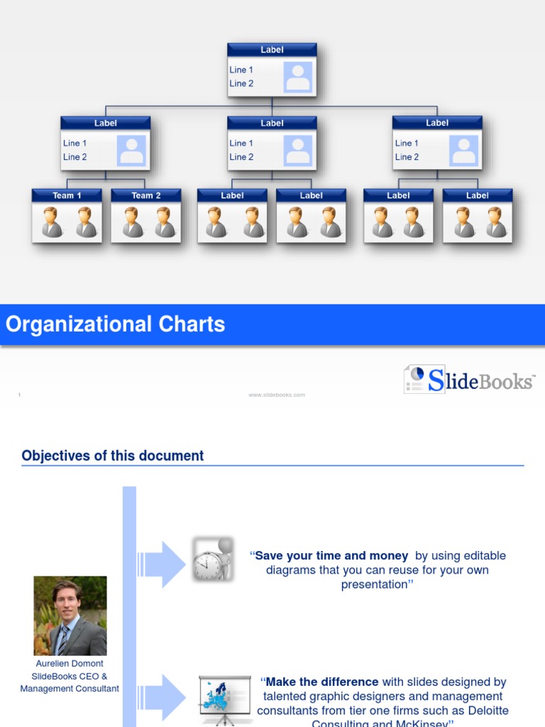 Organizational Charts in Editable | PDF | Business | Software