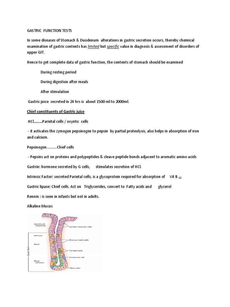 Analysis of Gastric Function Tests: A Comprehensive Review of ...