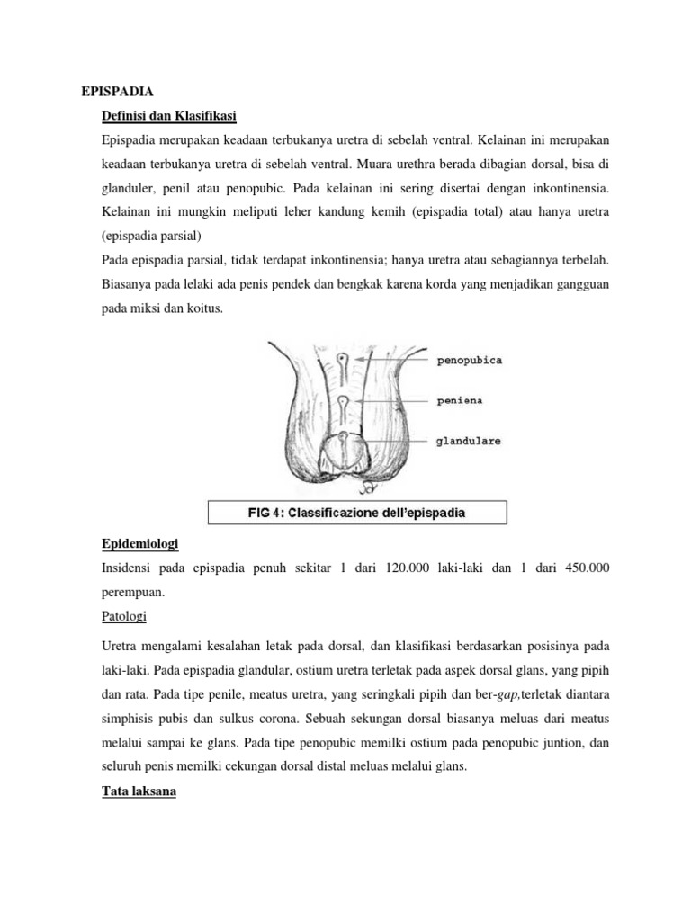 Epispadia | PDF