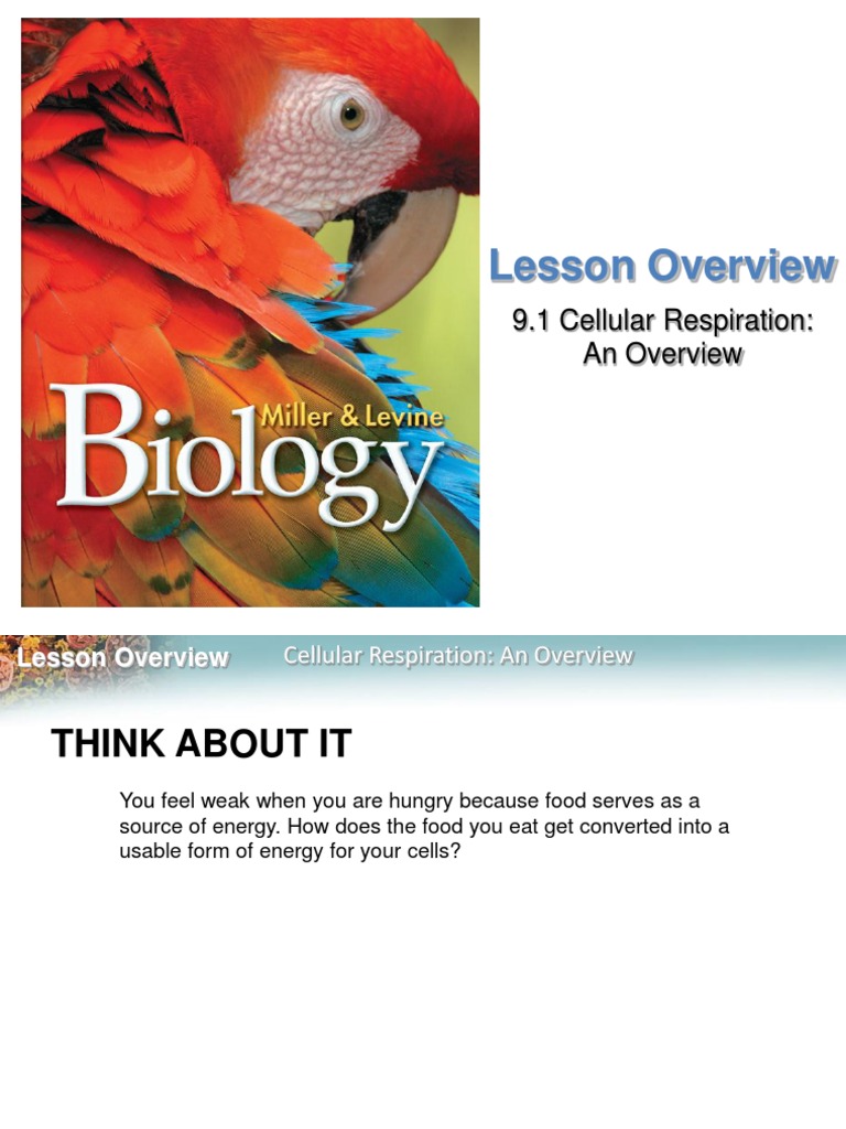 Cellular Respiration - An Overview | PDF | Cellular Respiration | Chemistry