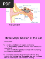 Gr.12 Life Sciences The Ear | PDF | Ear | Auditory System