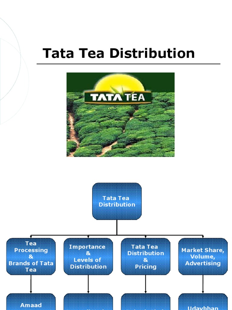 Tata Tea Distribution Overview | PDF | Tea | Business