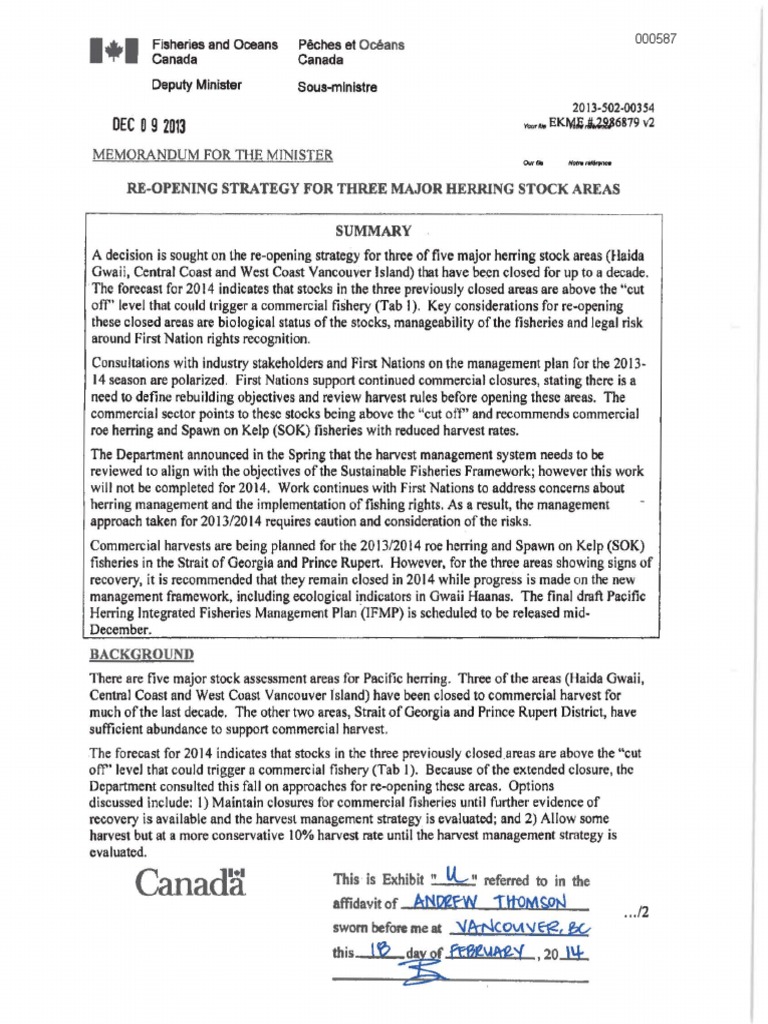 DFO Herring Memo | PDF | Herring | Sustainability