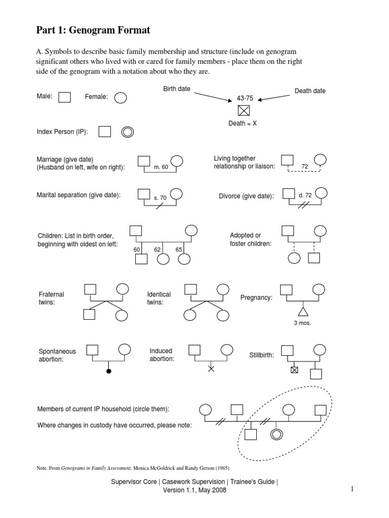05B Casework Sup Genogram Format | PDF | Wife | Husband