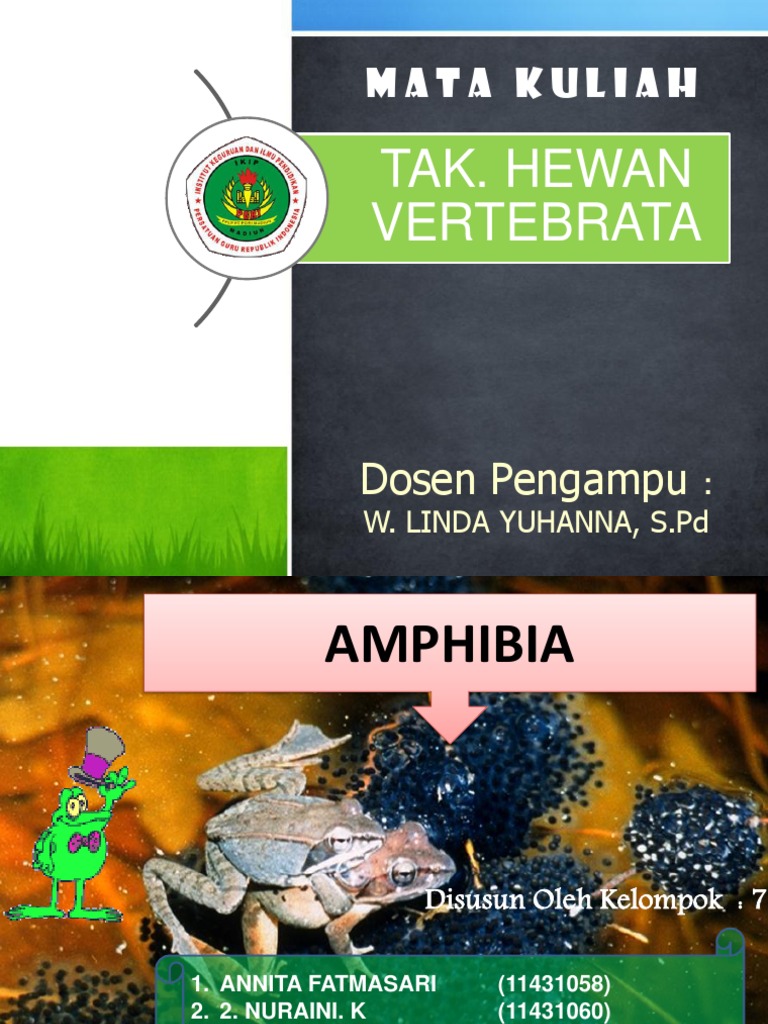 Ampibi | PDF