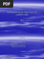 Mnemonics for Skeleton & Muscles | PDF | Human Leg | Foot