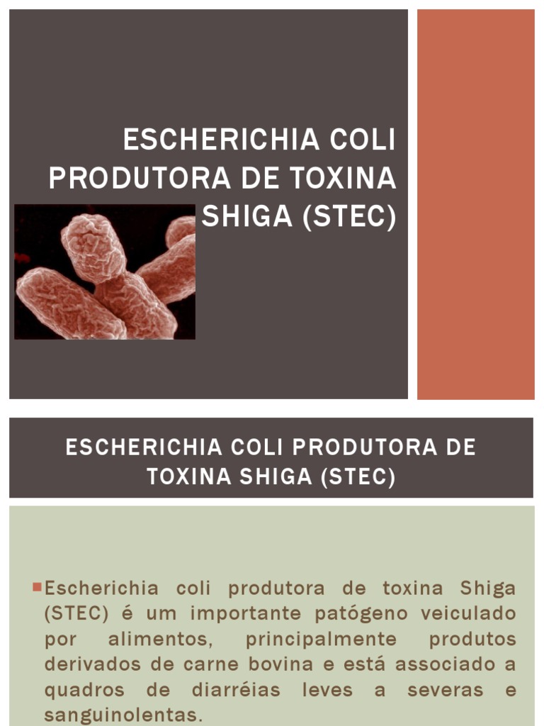 Escherichia Coli Produtora de Toxina Shiga (STEC